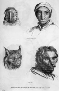 How We Would Look If Humans Evolved From Different Animals? This Is ...